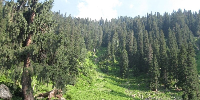 Limber Wildlife Sanctuary: In The Realm of The Wilderness- TripXL