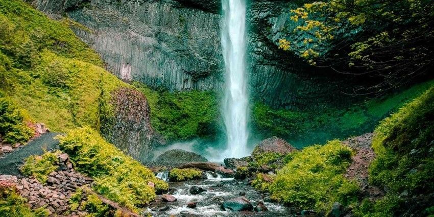 Explore The Adyanpara Waterfalls: The Gem Of Nilambur City - TripXL