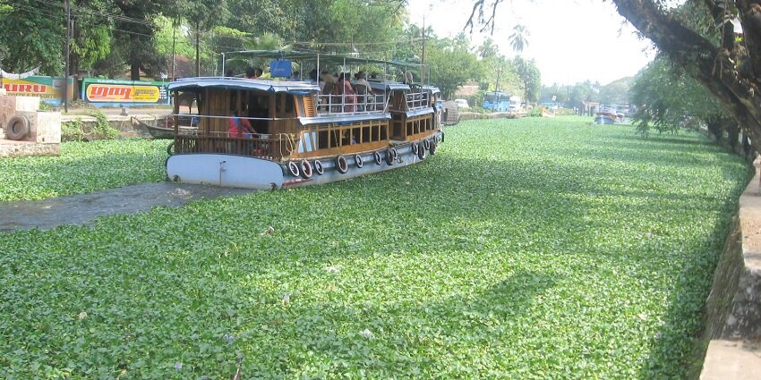 International Coir Museum: Journey Through History Of Alappuzha - TripXL
