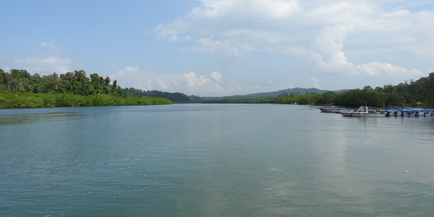 Baratang Island: Get Ready To Visit This Hidden Gem In Andaman - TripXL