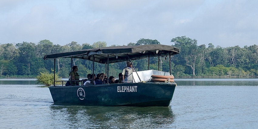 Kabini Jungle Safari: Adventure Awaits You On This Safari - TripXL