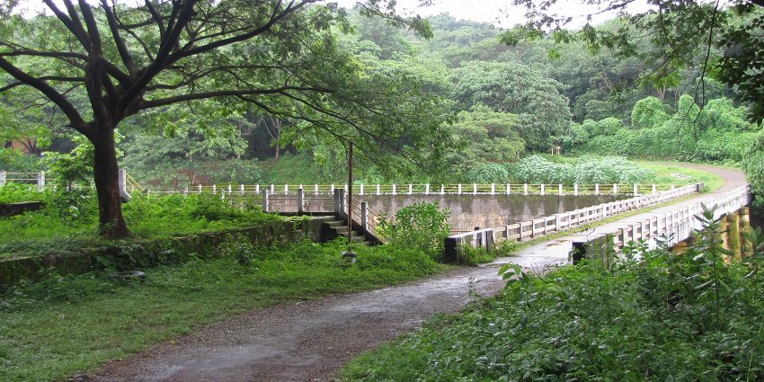 Chimmini Wildlife Sanctuary: A Paradise For Nature Admirers - TripXL