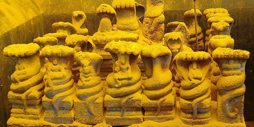 Snake Temples In Kerala: Pay Your Homage To Serpent Deity - TripXL
