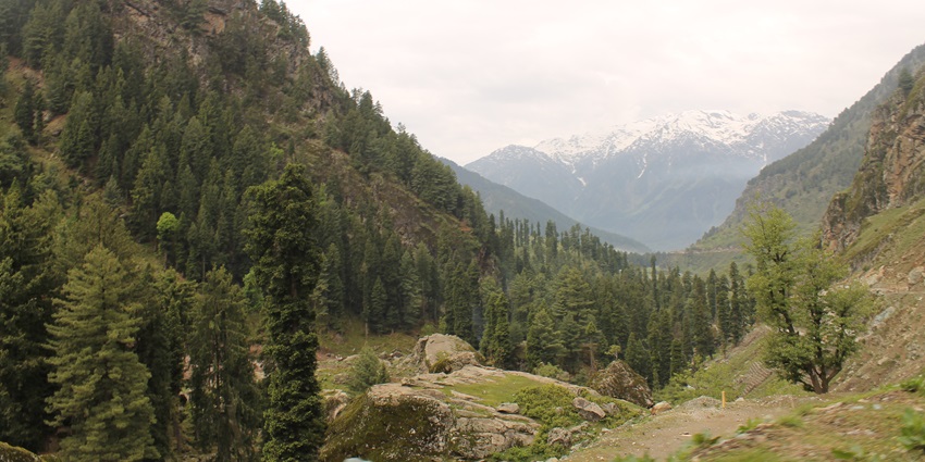 Kishtwar National Park: All The Details You Need To Know- TripXL