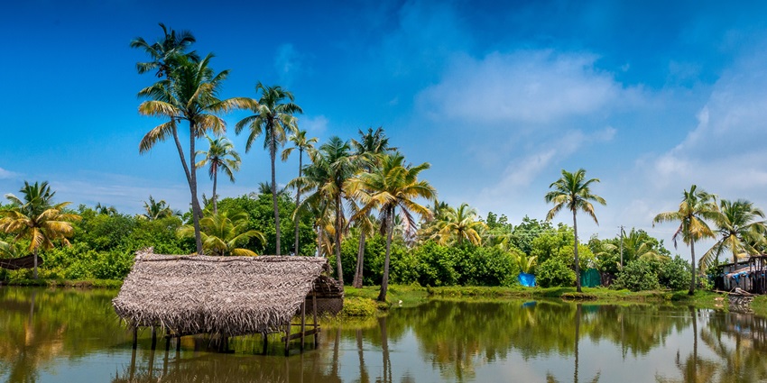 10 Places To Visit In Kochi for Couples - TripXL