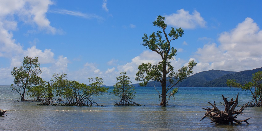Little Andaman Island: Fascinating Destination For Explorers - TripXL