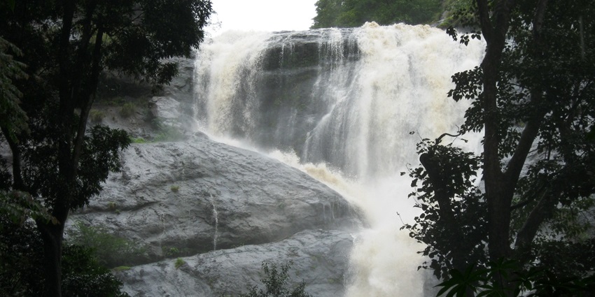 Mankulam Waterfalls: Breathtaking Scenic Natural Beauty - TripXL