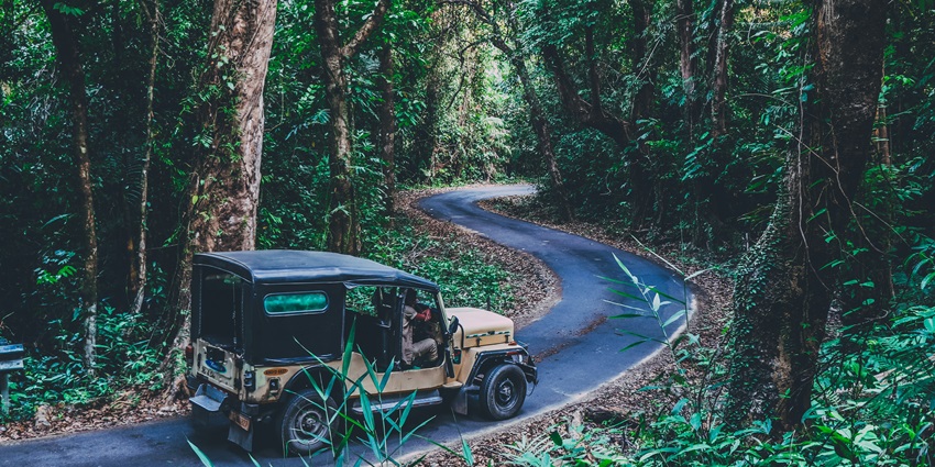 Mount Harriet National Park: A Trekker’s Natural Paradise - TripXL