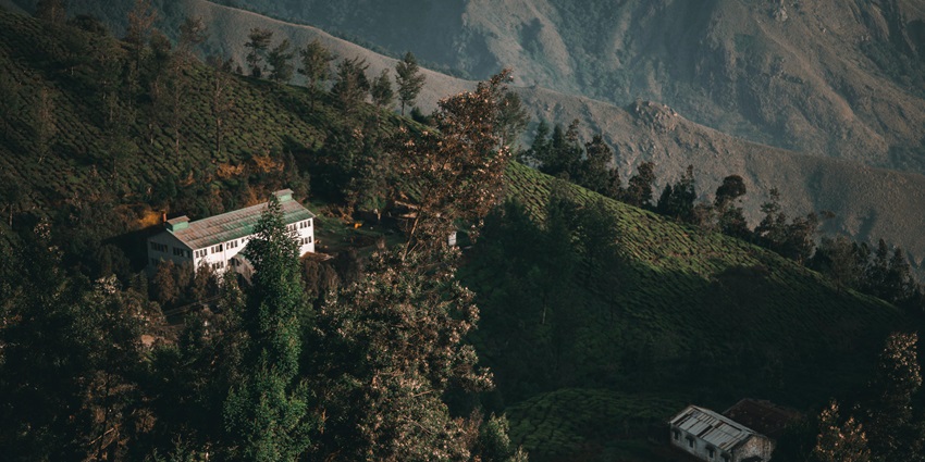 Try These Best Things To Do In Munnar For An Unbeatable Time - TripXL