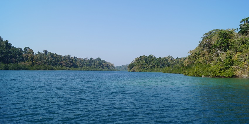 Galathea National Park: A Haven Of Biodiversity & Dense Forests- TripXL