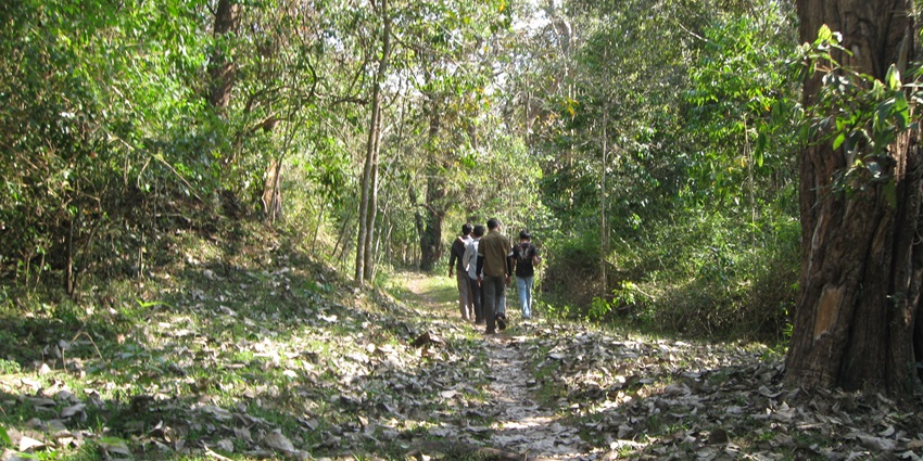 Trekking In Kerala: Navigate Through The Adventurous Trails - TripXL