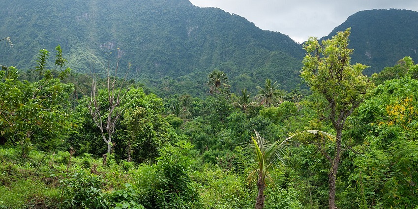 Top Adventure Sports In Bali For A Memorable Vacation - TripXL