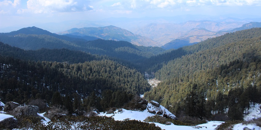 Churdhar Wildlife Sanctuary: A Hidden Treasure In Himalaya - TripXL