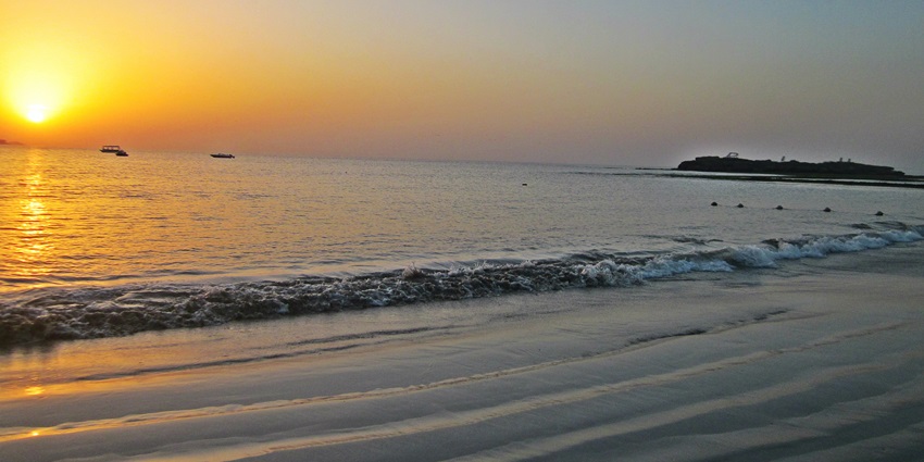 Best Food In Diu: Exploring The Cuisine Blends Of The Place - TripXL