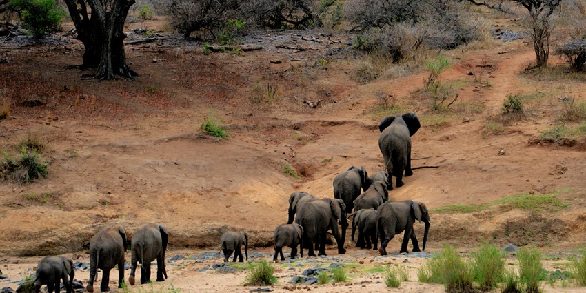 Uncover Dihang Dibang National Park: The Ultimate Tour Guide - TripXL