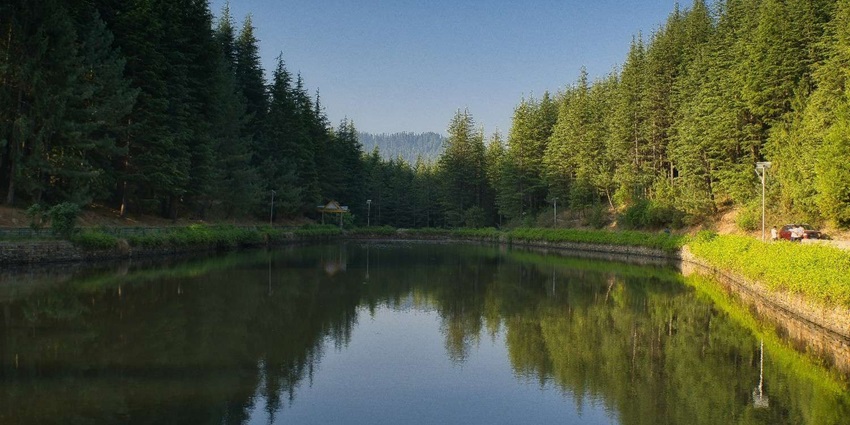 10 Things to Do in Narkanda That Will Leave You Craving More - TripXL