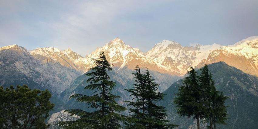 Places To Visit In Kalpa On Your Next Vacation To The Hills - TripXL