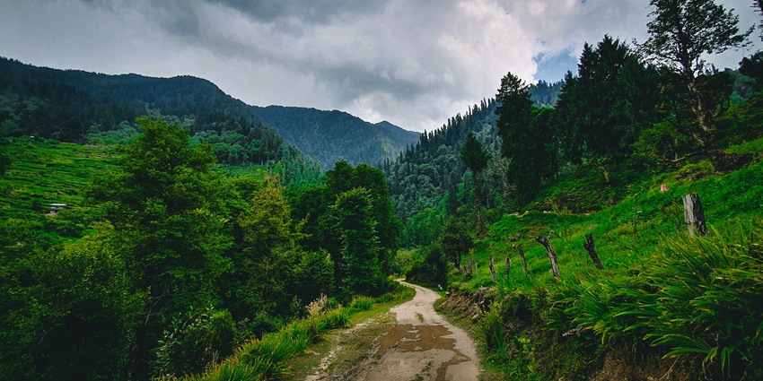 Manali Wildlife Sanctuary: Natural Haven In Himachal Pradesh - TripXL