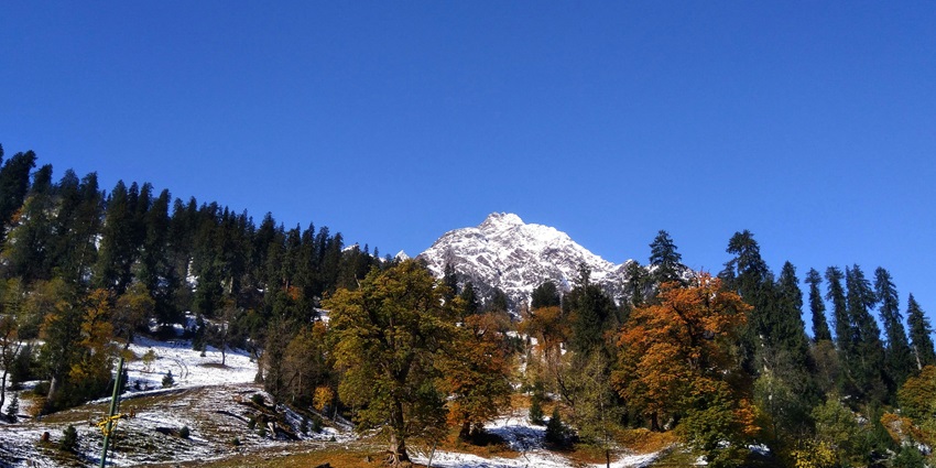 Places To Visit In Manali In December: The Winter Wonderland- TripXL