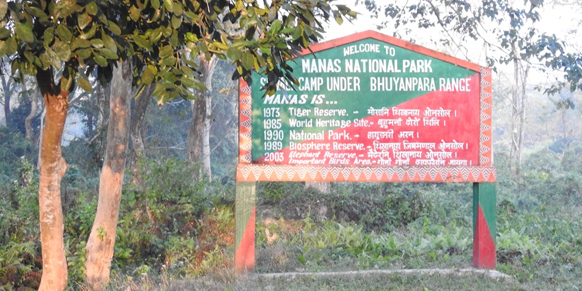 Uncover The Manas National Park: The Wild Hunt In Assam - TripXL