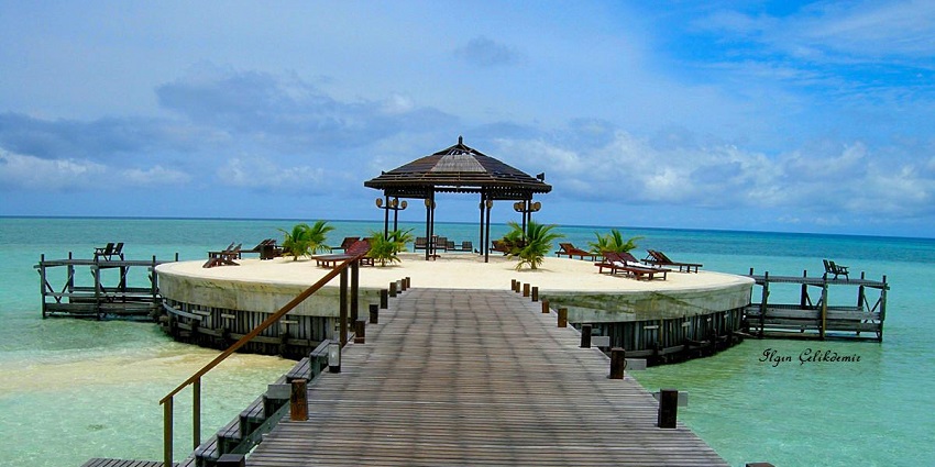 Explore Sipadan Island: Dive Into Paradise With Coral Reefs- TripXL