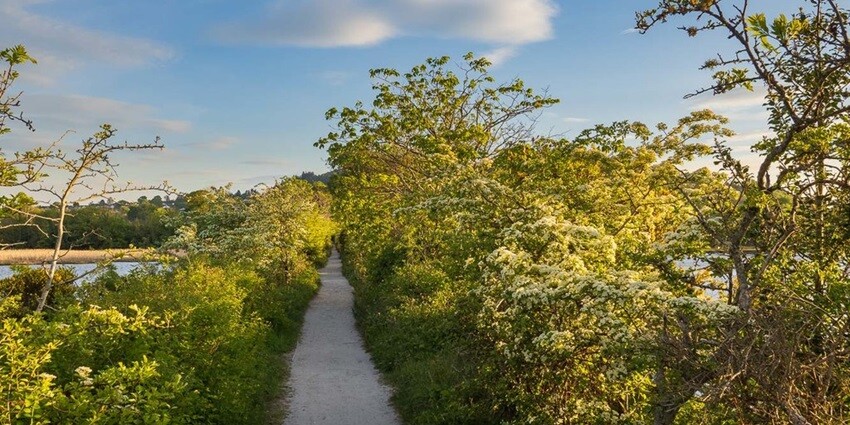 Pakhui Wildlife Sanctuary: Paradise For Nature Enthusiasts - TripXL