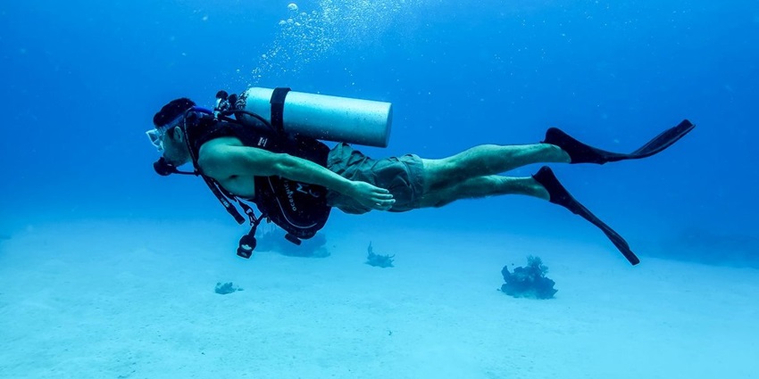 Scuba Diving In Phi Phi Island: A Once In A Lifetime Experience - TripXL