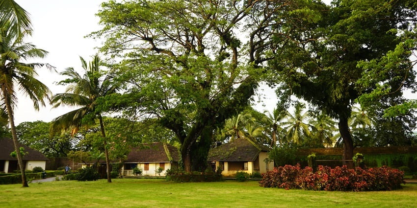 Thalassery Fort: Step Into Kannur’s History - TripXL