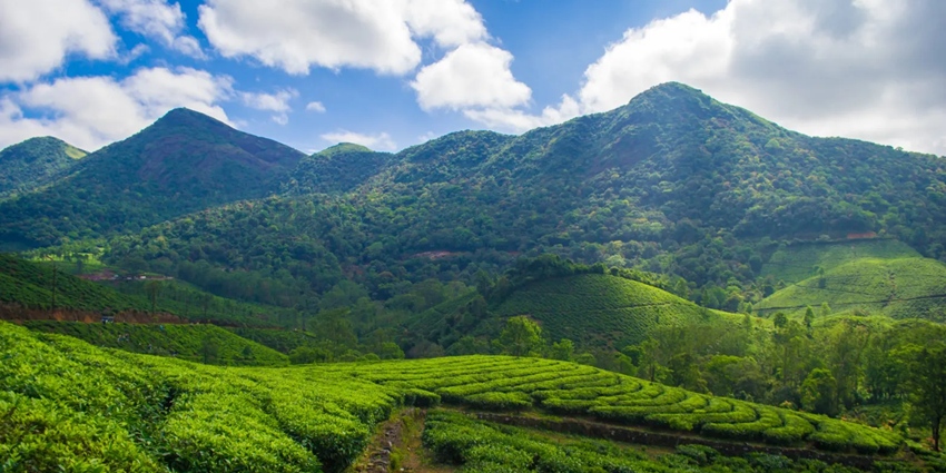9 Places To Visit In Vagamon For A Scenic Escapade- TripXL