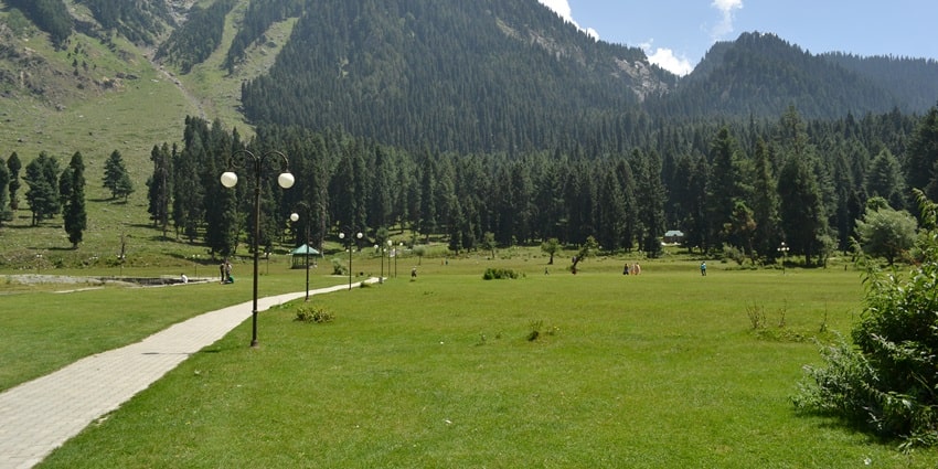 Betaab Valley In April: Witness The Blooming Surroundings - TripXL