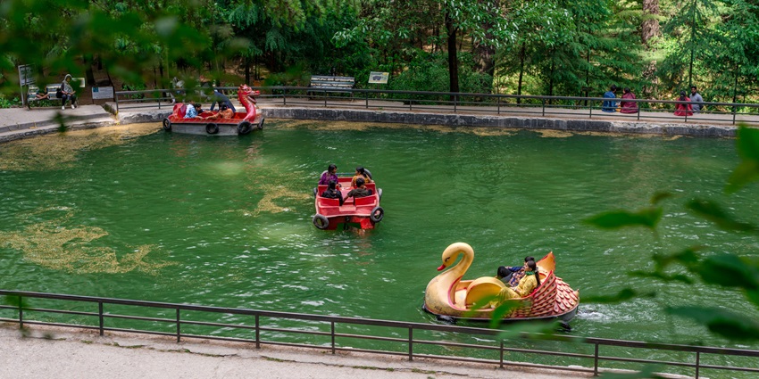 Van Vihar National Park Manali: Your Next Wildlife Adventure - TripXL