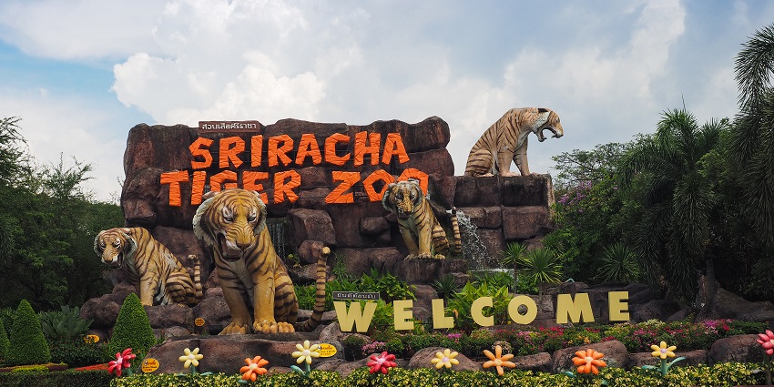 Bangkok Zoos: Knowing Animal Kingdom Of Thailand - TripXL