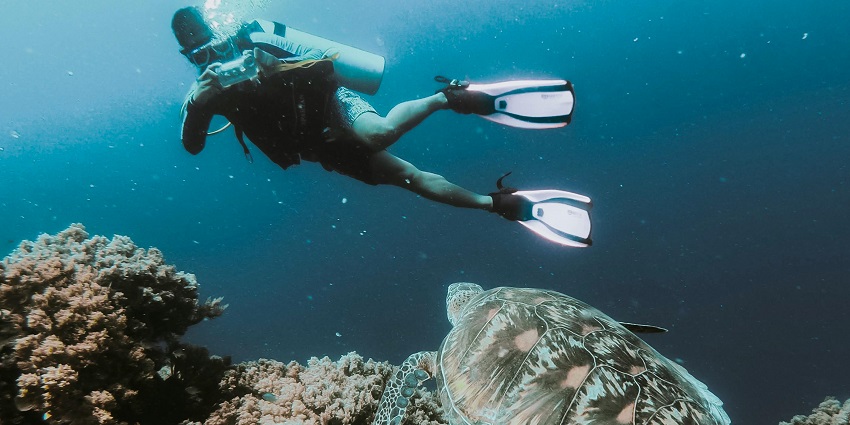 Scuba Diving In Vietnam: Dive Into Adventure In Souteast Asia - TripXL