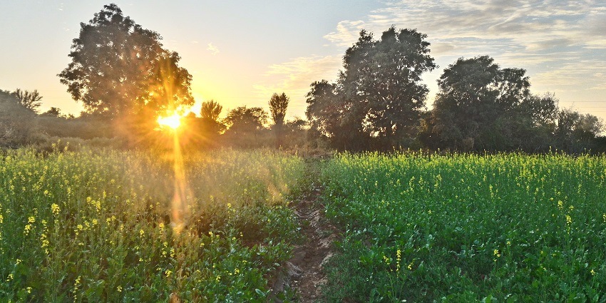 10 Places To Visit In Pali To Discover The Undiscovered - TripXL