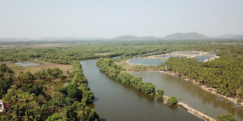 Things To Do In South Goa With Family: An Ultimate Travel Guide - TripXL