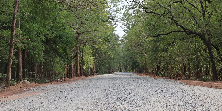 Explore Udanti Wildlife Sanctuary: Home To Rarest Wildlife - TripXL