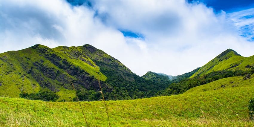 Wayanad Tea Museum: Situated Amidst Kerala’s Lush Greenery - TripXL