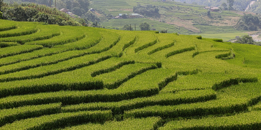 15 Places To Visit In Zirakpur For An Amusing Experience - TripXL