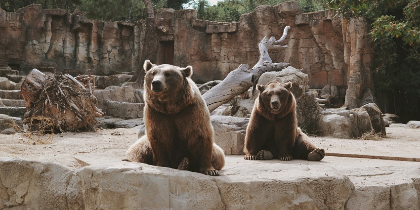 About The Nandan Van Zoo: Take A Walk On The Wild Side - TripXL