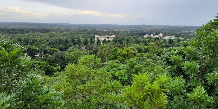 10 Places To Visit In Dharwad For Karnataka’s Rich Essence - TripXL