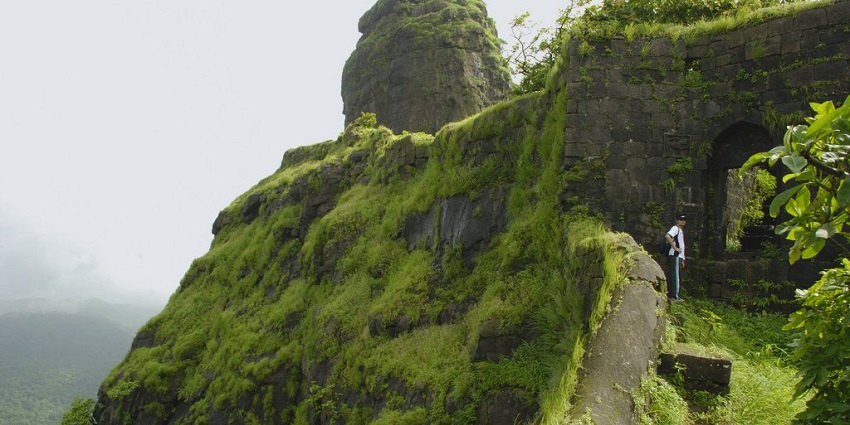 Karnala Fort Trekking: Your Guide To A Historic Adventure - TripXL