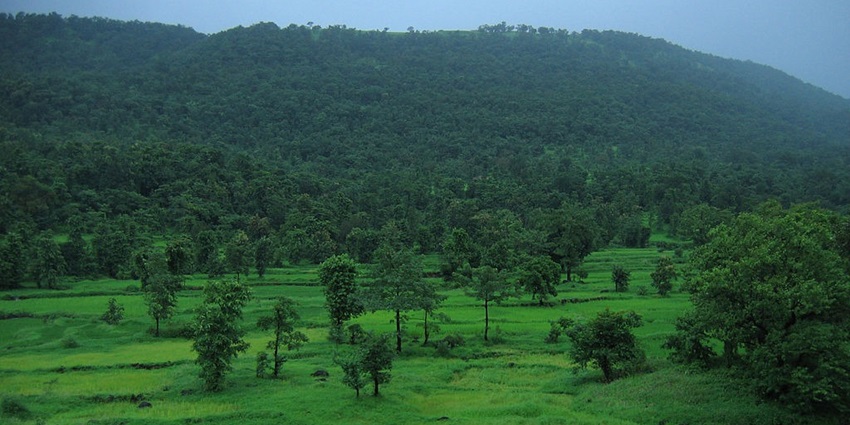 Konkan Forts: A Guide For Exploring The Historical Forts - TripXL