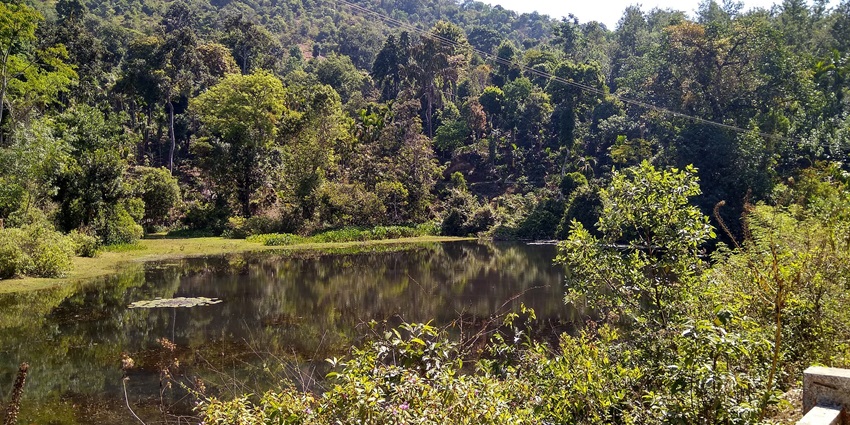 5 Places To Visit In Kalasa For An Unforgettable Trip - TripXL