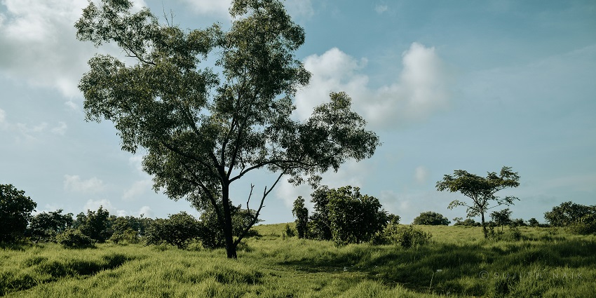 12 Places To Visit In Manipal: An Essential Travel Guide - TripXL