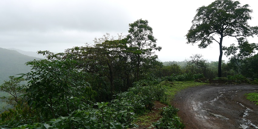 Best Places To Visit In Palghar: Exploring Tourist Attractions - TripXL