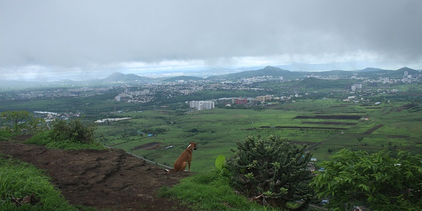Top Places To Visit In Pune In Monsoon: Nature Awaits - TripXL