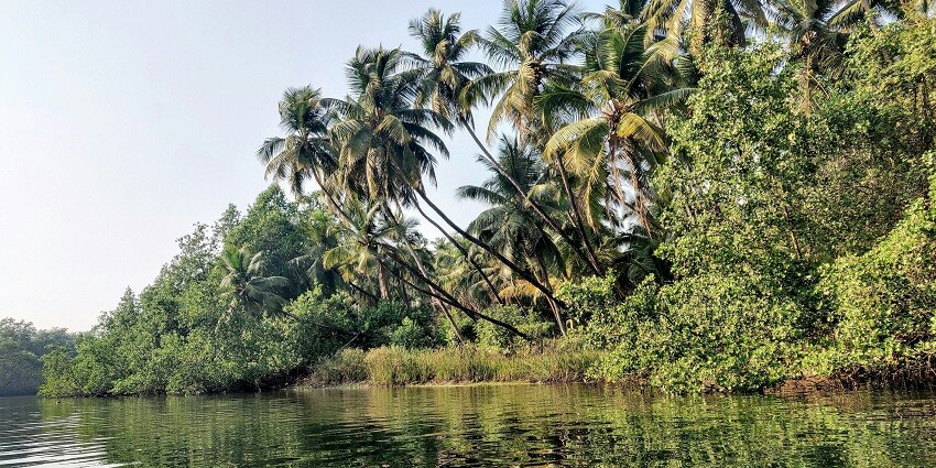 10 Places To Visit In Honnavar: Blend Of Nature And Heritage - TripXL