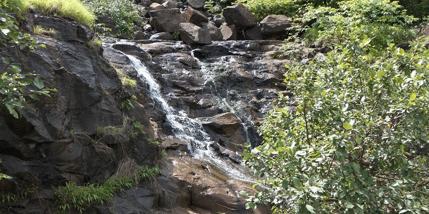 The Top 10 Waterfalls In Tamhini Ghat: Tranquility Amidst Lush Greenery ...