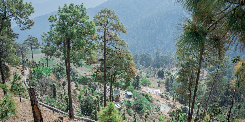 Binsar Wildlife Sanctuary: Discover The Wilderness - TripXL