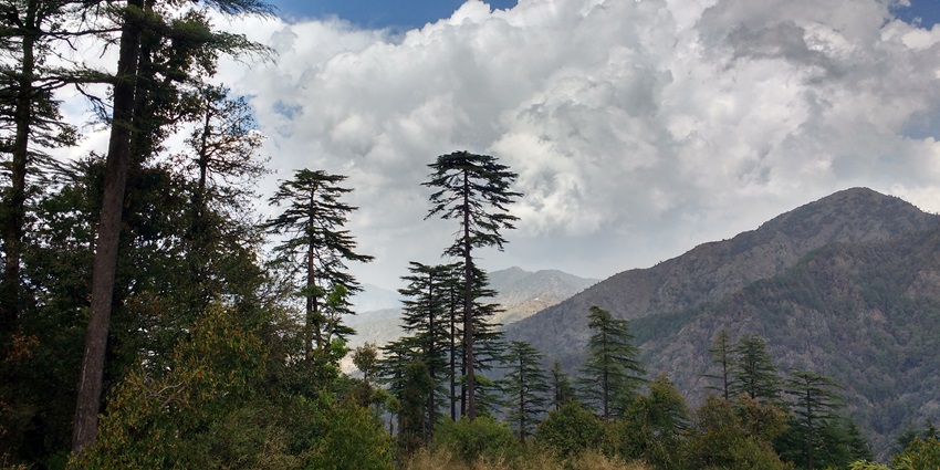 Things To Do In Dhanaulti: A Complete Guide For Visitors - TripXL